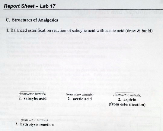 report sheet lab 17 structures of analgesics balanced esterilication ...