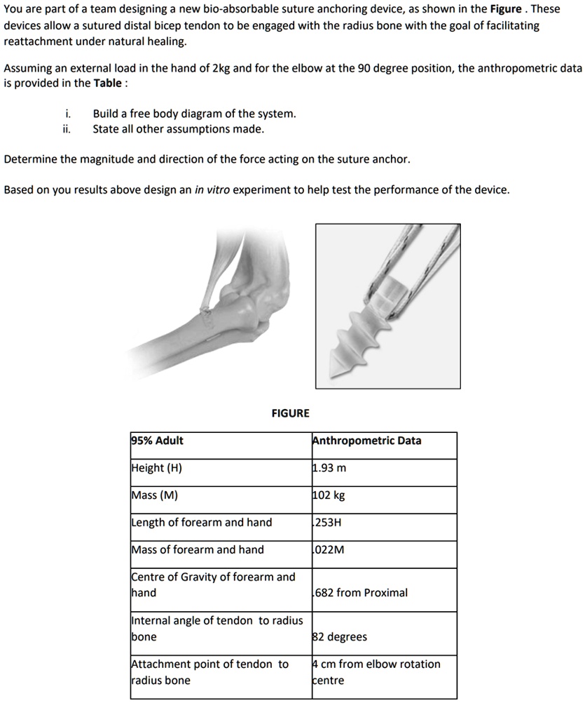 You are part of a team designing a new bio-absorbable suture anchoring ...