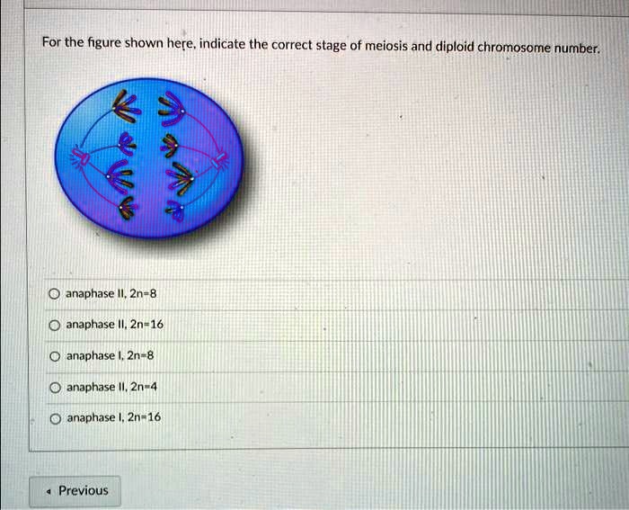 SOLVED: For the figure shown here, indicate the correct stage of ...