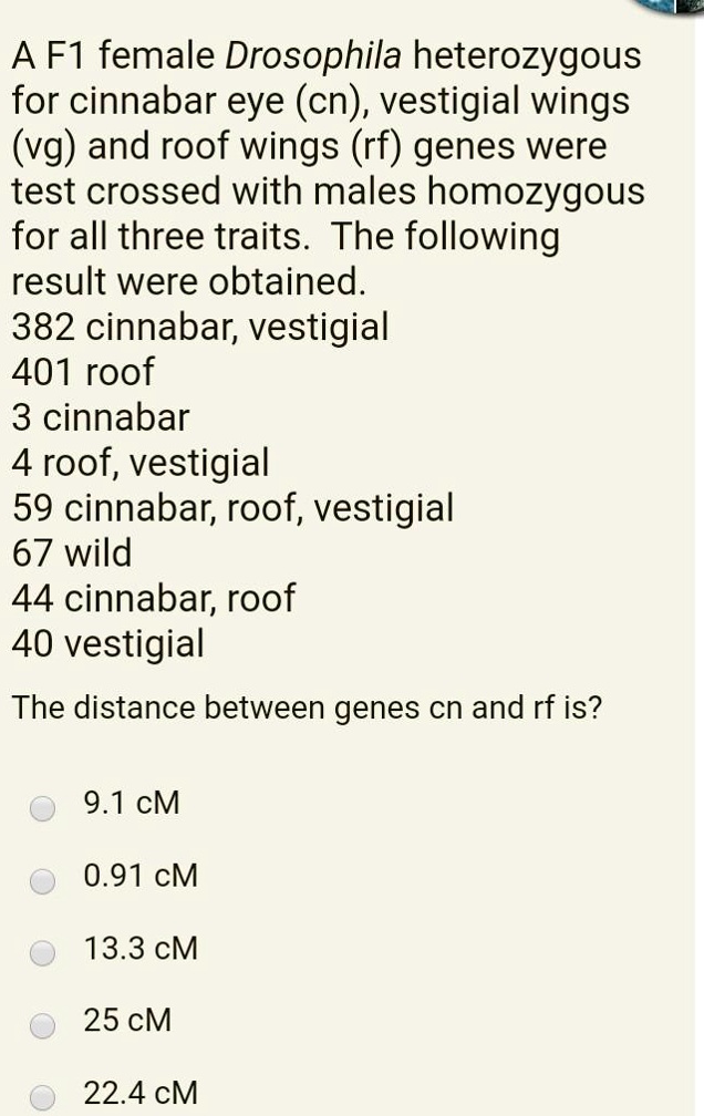 SOLVED: A F1 female Drosophila heterozygous for cinnabar eye (cn ...