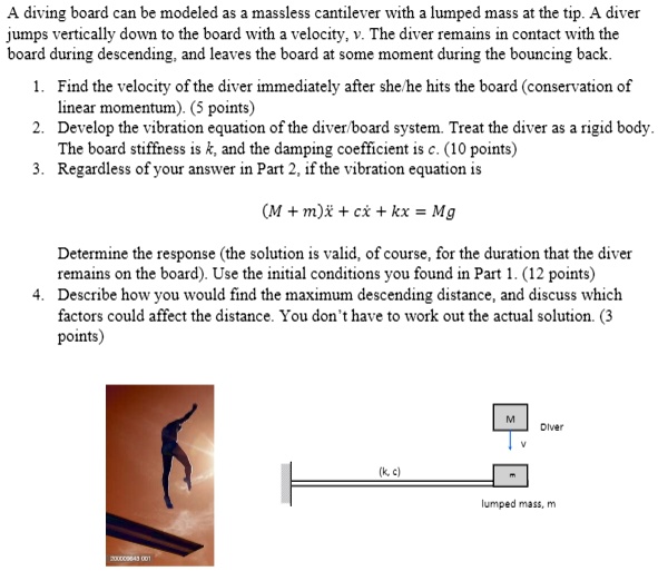 SOLVED: A diving board can be modeled as a massless cantilever with a ...