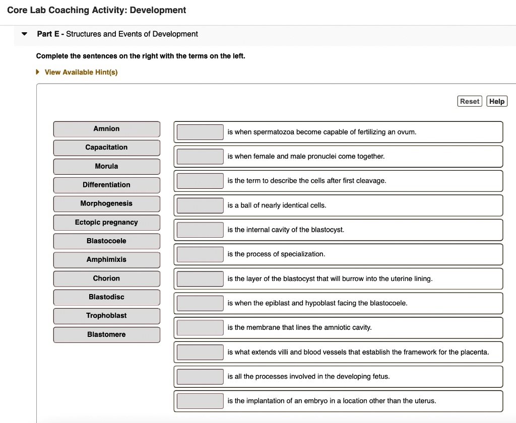 Core Lab Coaching Activity: Development ? Part E - Structures and ...