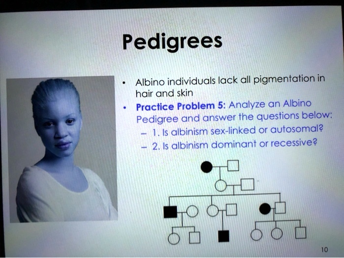 SOLVED: Pedigrees Albino individuals lack all pigmentation in hair and ...