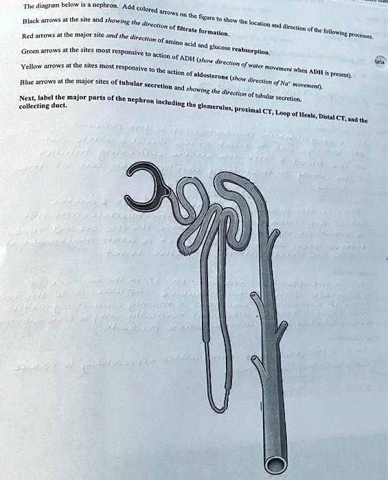 the diagram below is tows on the figure to show the location and ...
