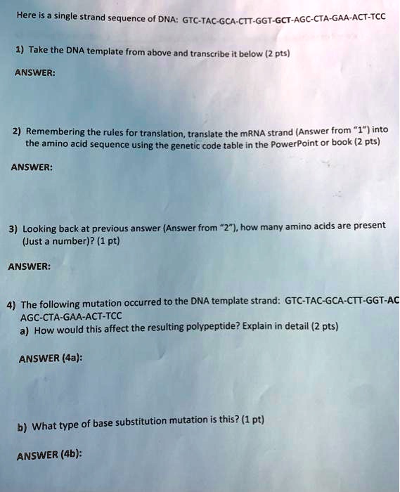 here is a single strand sequence of dna gtc tac gca ctt ggt gct agc cta gaa act tcc 1 take the ...