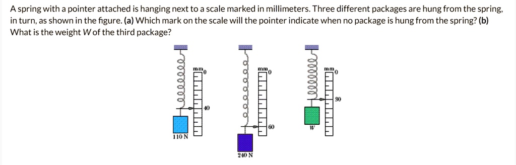SOLVED: A spring with a pointer attached is hanging next to scale ...