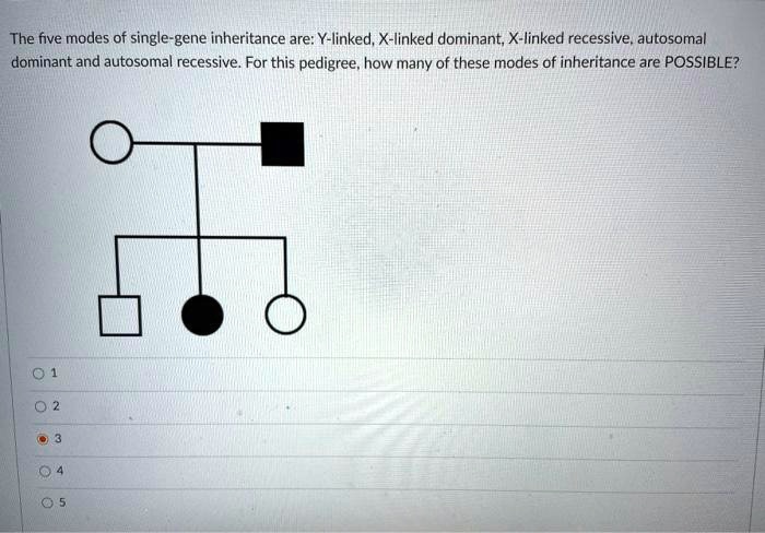 Solved The Five Modes Of Single Gene Inheritance Are Y Linked X