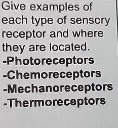 give examples of each type of sensory receptor and where they are ...