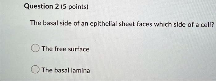 SOLVED: Question 2(5 points) The basal side of an epithelial sheet ...