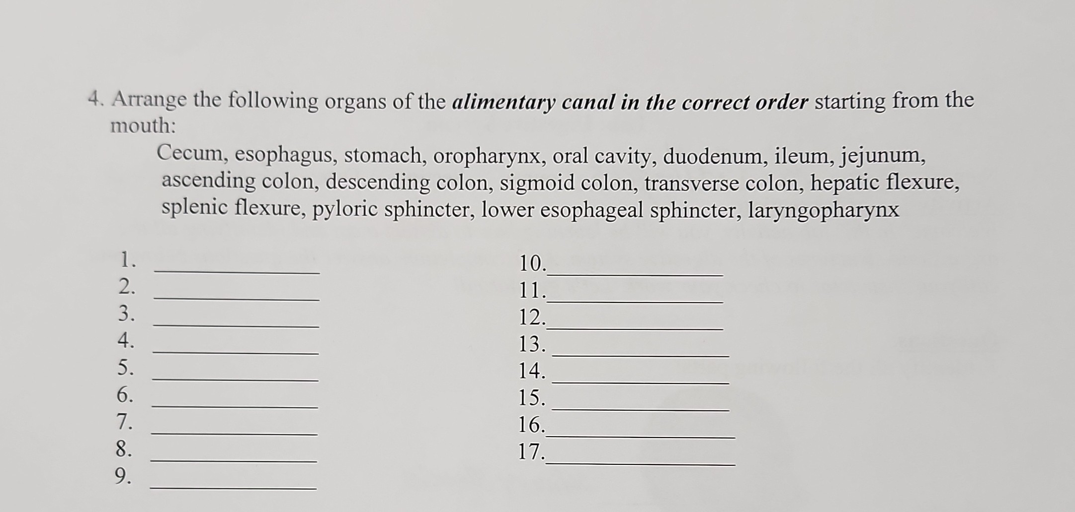 4. Arrange the following organs of the alimentary canal in the correct ...