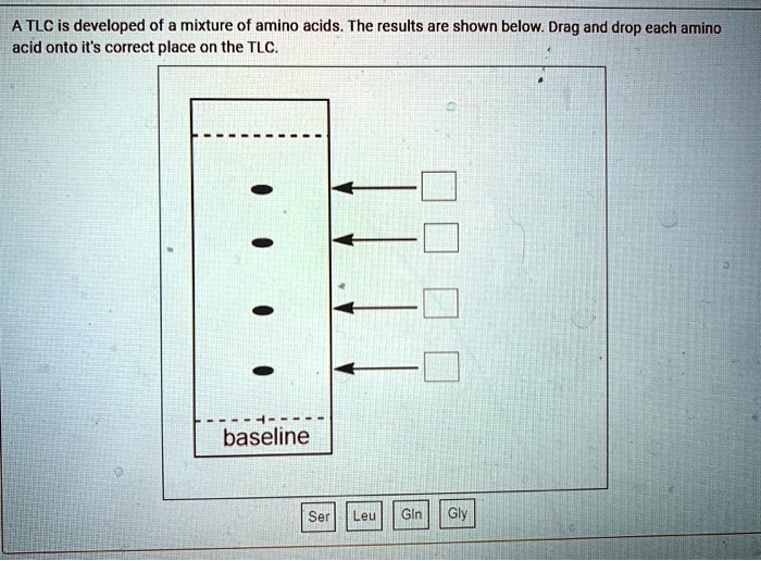 Solved A Tlc Is Developed Of A Mixture Of Amino Acids The Results Are Shown Below Drag And