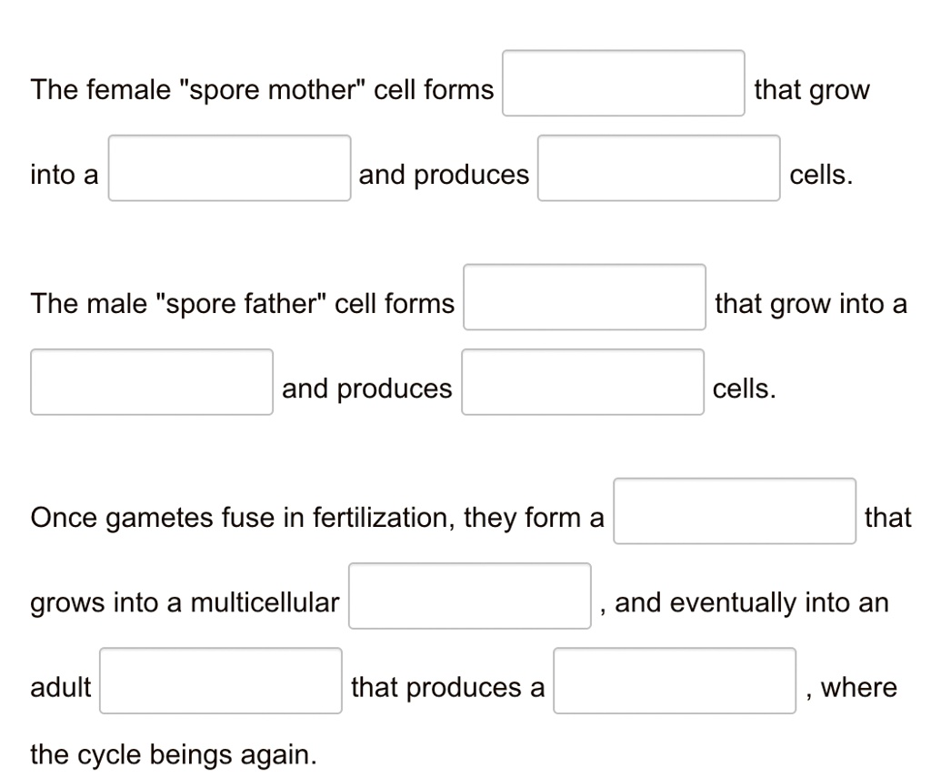 SOLVED: The female "spore mother" cell forms that grow into a and ...