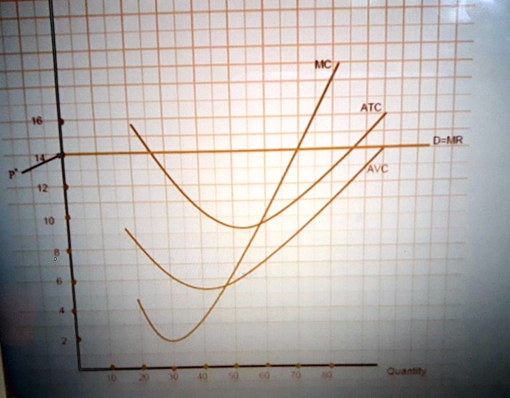 SOLVED: The graph given above shows the demand, MR, and cost curves for ...