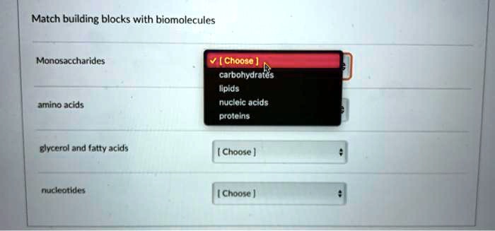 SOLVED: Match building blocks with biomolecules Monosaccharides [Choose ...