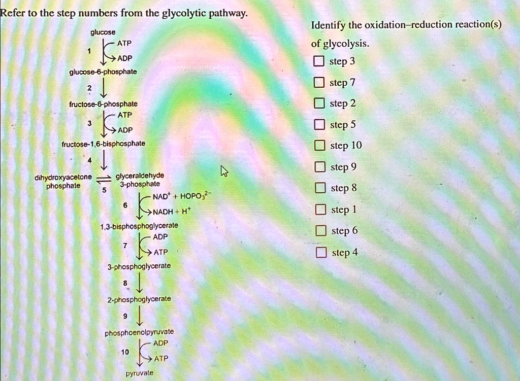 SOLVED: Refer to the step numbers from the glycolytic pathway. Refer to ...