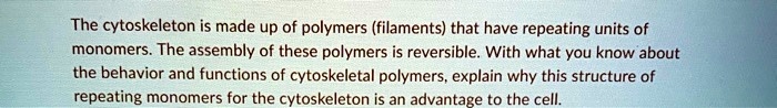SOLVED: The cytoskeleton is made up of polymers (filaments) that have ...