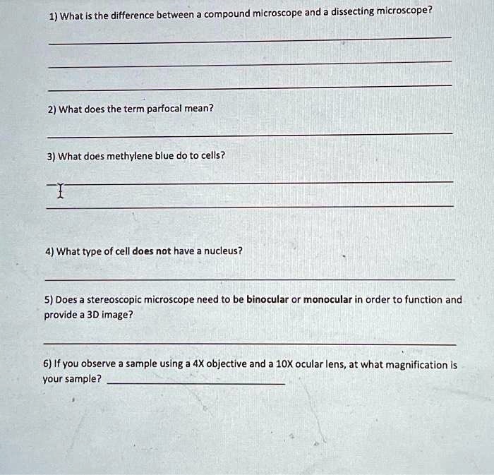 SOLVED: 1) What is the difference between a compound microscope and a ...