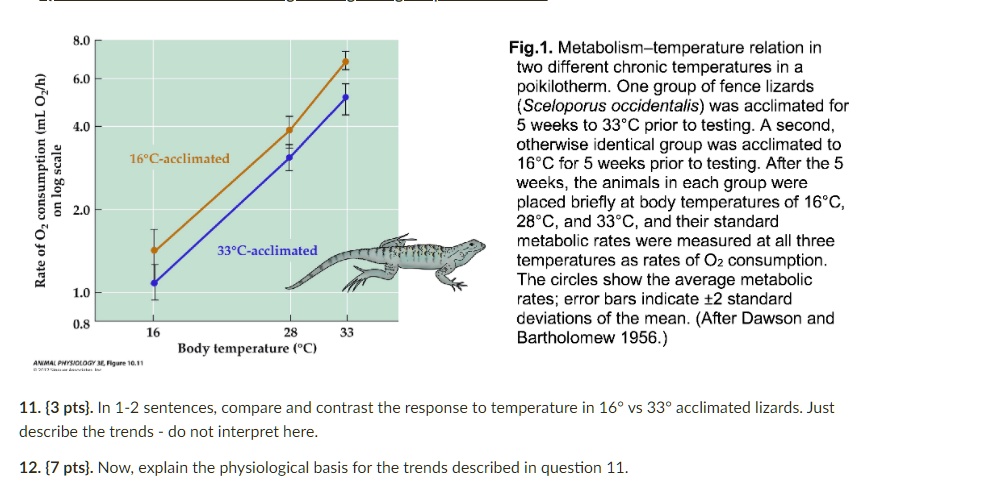 SOLVED: Fig. 1 - Metabolism-temperature relation in two different ...