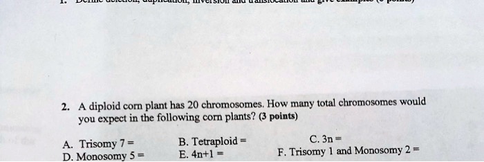 SOLVED: A diploid com plant has 20 chromosomes How many total ...