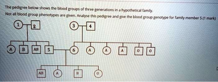 the pedigree below shows the blood groups of three generations in ...