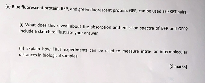 SOLVED: (e) Blue fluorescent protein, BFP, and green fluor escent ...