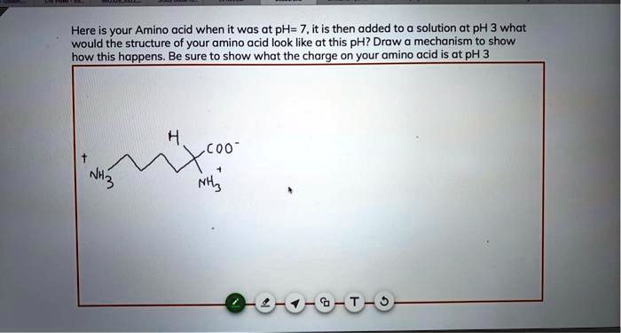 Aspartic Acid Ph 7