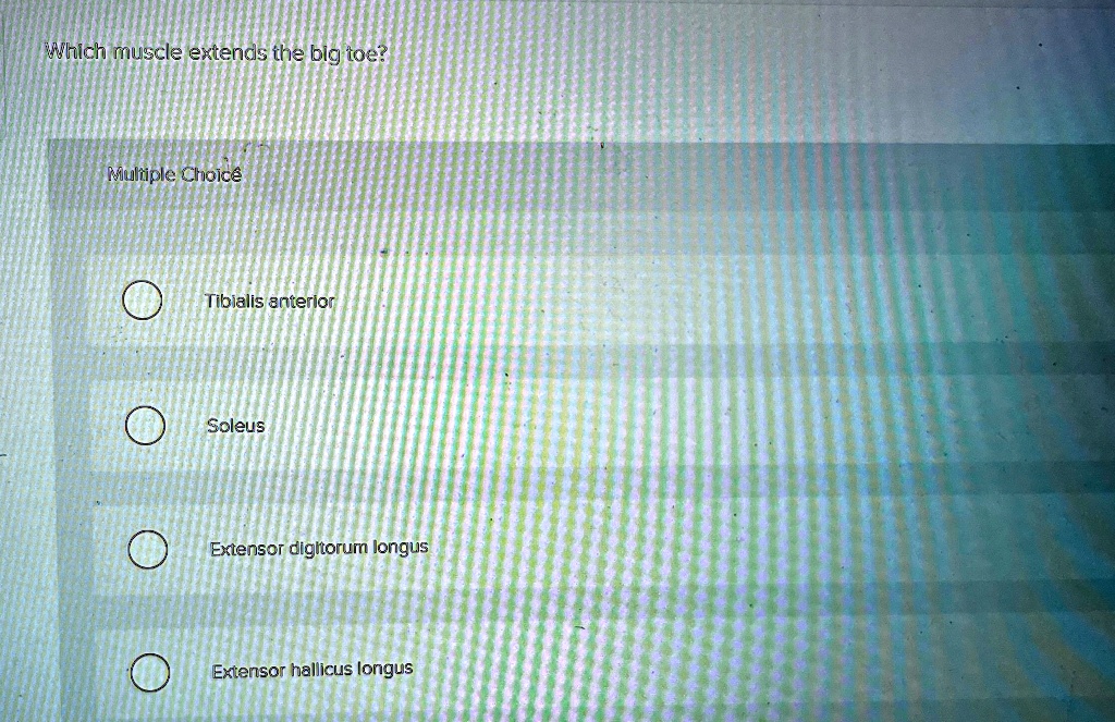 Which muscle extends the big toe? Multiple Choice Tibialis anterior ...