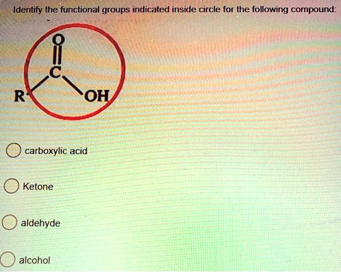 SOLVED: Identify the functional groups indicated inside circle for the ... SOLVED: Identify the functional groups indicated inside circle for the ...