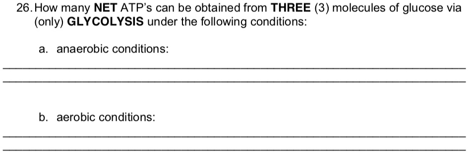 26. How many NET ATP's can be obtained from THREE (3)...