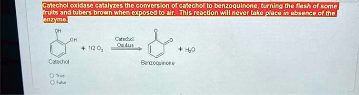 SOLVED: Catechol oxidase catalyzes the conversion of catechol to ...