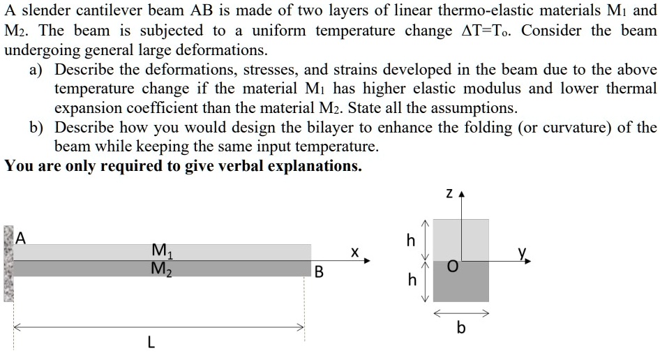 SOLVED: A slender cantilever beam AB is made of two layers of linear thermo-elastic materials Mi ...