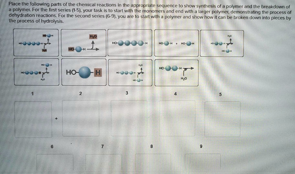 Place the following parts of the chemical reactions in the appropriate sequence to show ...