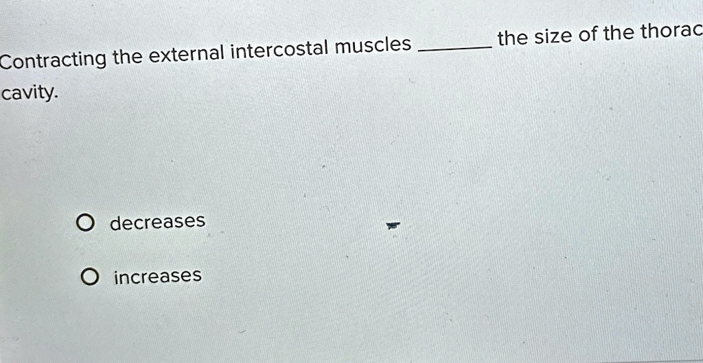 Contracting the external intercostal muscles the size of the thoracic ...