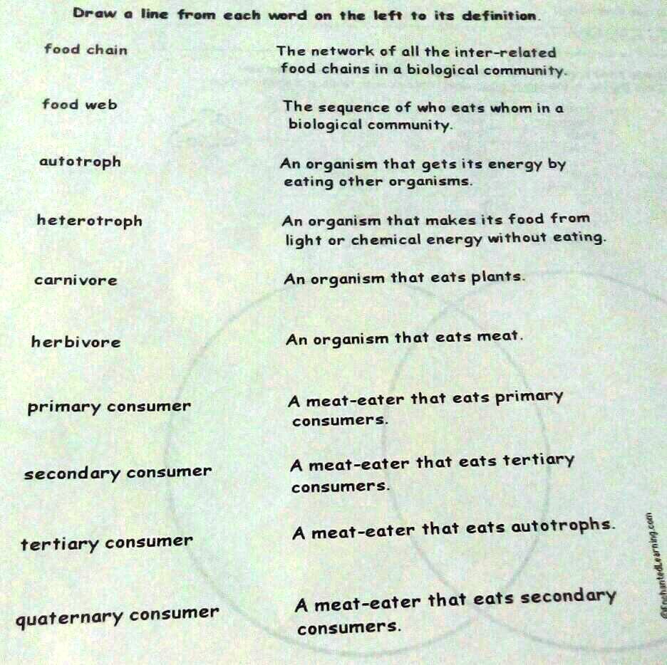 SOLVED: FOOD CHAIN Please help me draw a line from each word on the ...