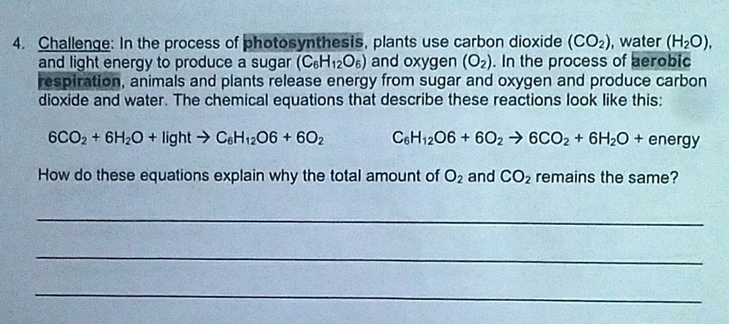 4. Challenge: In the process of photosynthesis, plants use carbon ...