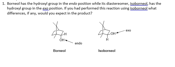 SOLVED: Borneol has the hydroxyl group in the endo position while its ...