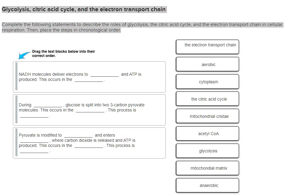 SOLVED: Glycolysis, citric acid cycle, and the electron transport chain ...