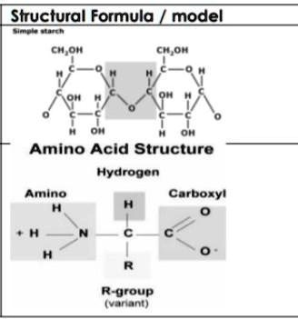 SOLVED: Learning Task 1. Letâ€™s Categorize! On a separate sheet of paper, given the structural ...