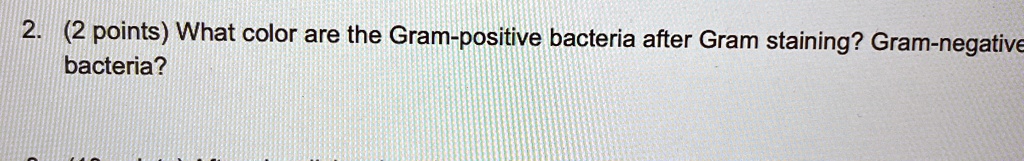 2 2 points what color are the gram positive bacteria after gram ...
