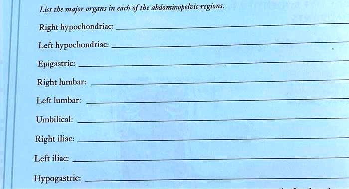 List the major organs in each of the abdominopelvic regions. Right ...