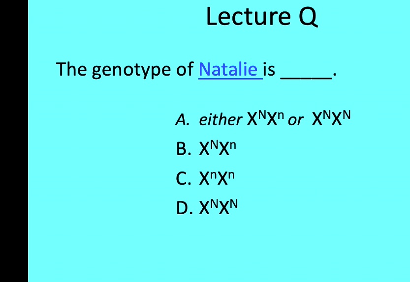 The genotype of Natalie is: A. either XNXn or XNXN B. XNXn C. Xnxn D. XNXN