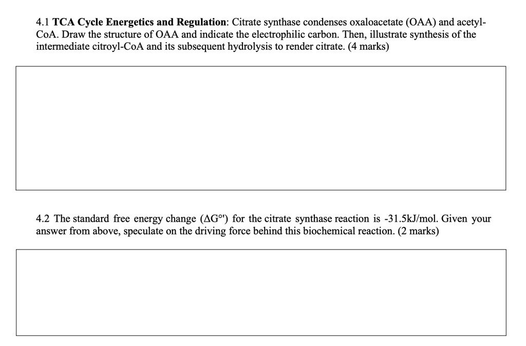 SOLVED: 4.1 TCA Cycle Energetics and Regulation: Citrate synthase ...