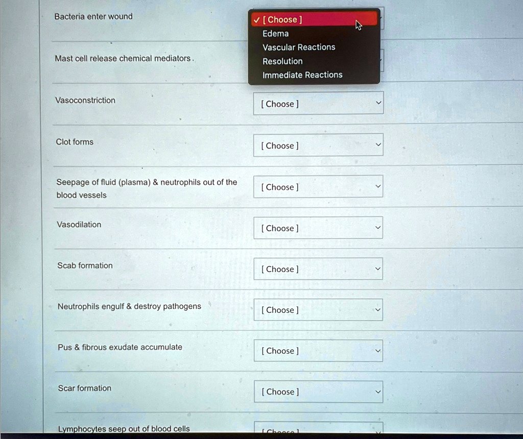 bacteria enter wound mast cell release chemical mediators ...