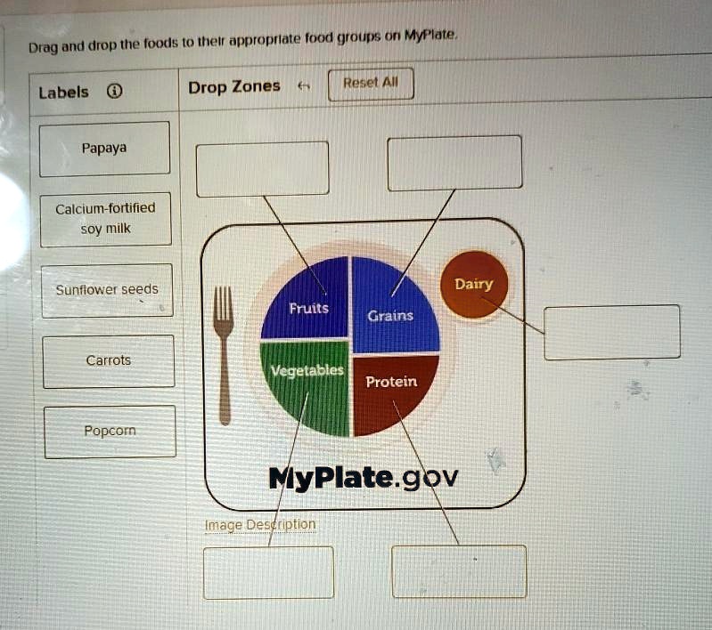 drag and drop the foods to their appropriate food groups on myplate ...