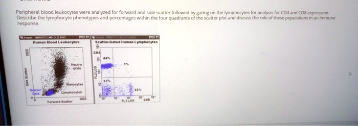 SOLVED: Peripheral blood leukocytes were analyzed for fonwvard und sidc ...