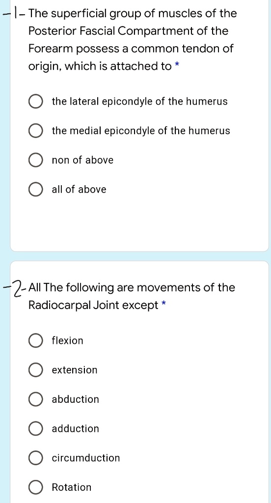 SOLVED: The superficial group of muscles of the Posterior Fascial ...