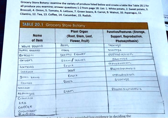 Grocery store botany examine the variety of produce ilsted...