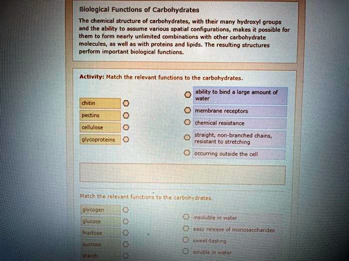 SOLVED: Biological Functions of Carbohydrates The chemical structure of ...