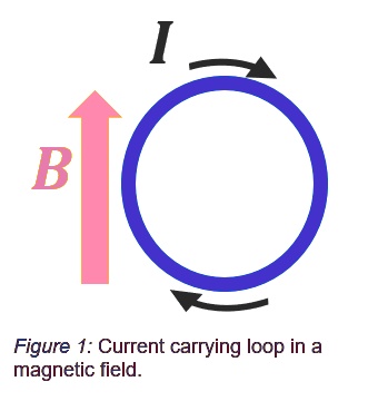 SOLVED: B ( Figure 1: Current carrying loop in a magnetic field.