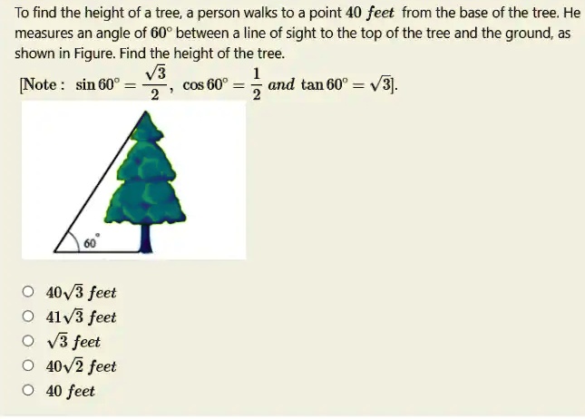 SOLVED: To find the height of a tree, a person walks to a point 40 feet ...